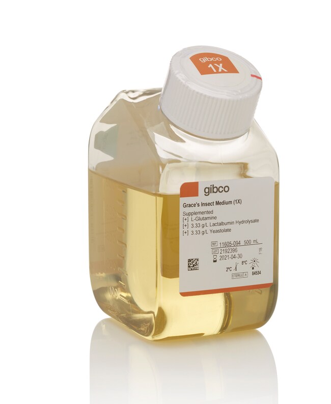 Grace 补充昆虫培养基 10 x 500 mL | Buy Online | Gibco™ | thermofisher.cn